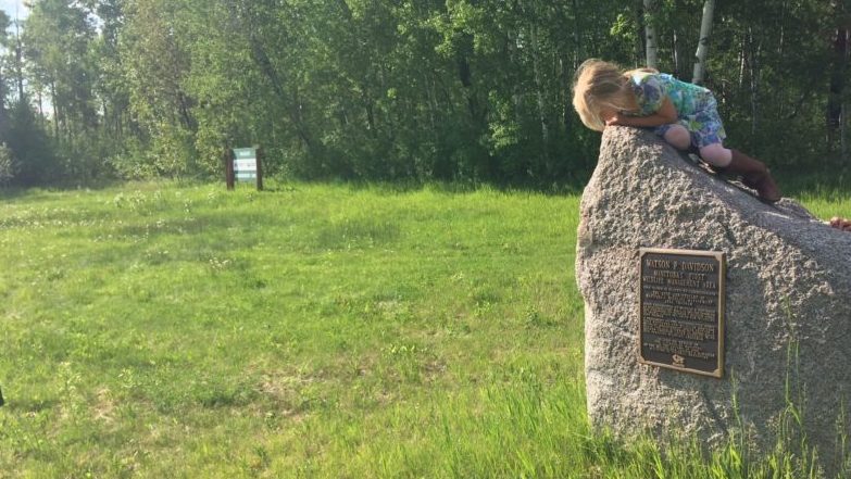 Wild Life at the Watson P. Davidson Wildlife Management Area
